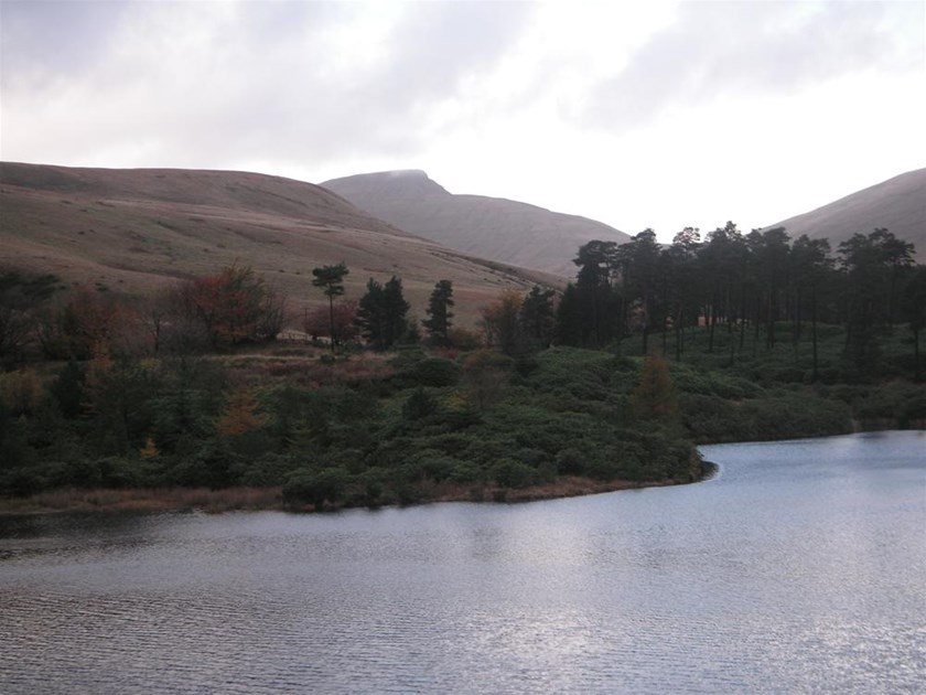 Jane Blewitt is fundraising for Meningitis Now