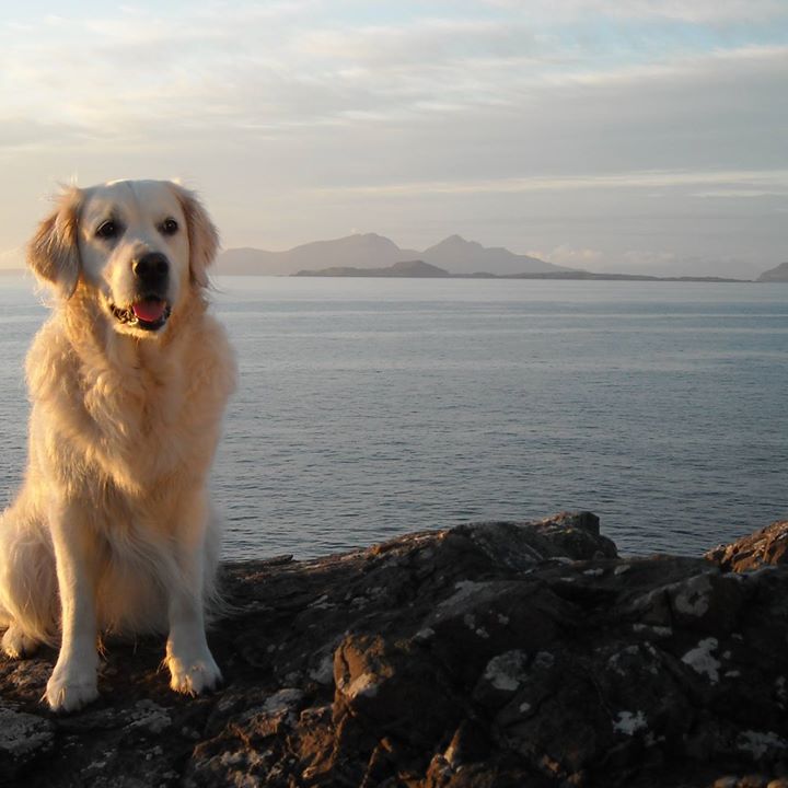 James Frame is fundraising for Multiple Sclerosis (MS), Mid-Argyll