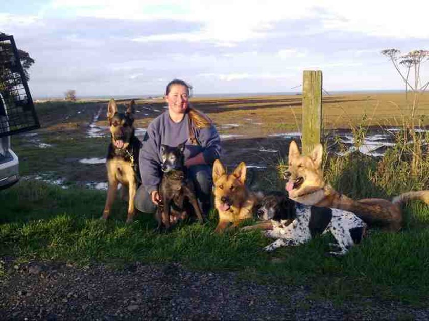 Irene Ford is fundraising for Hounds for Heroes