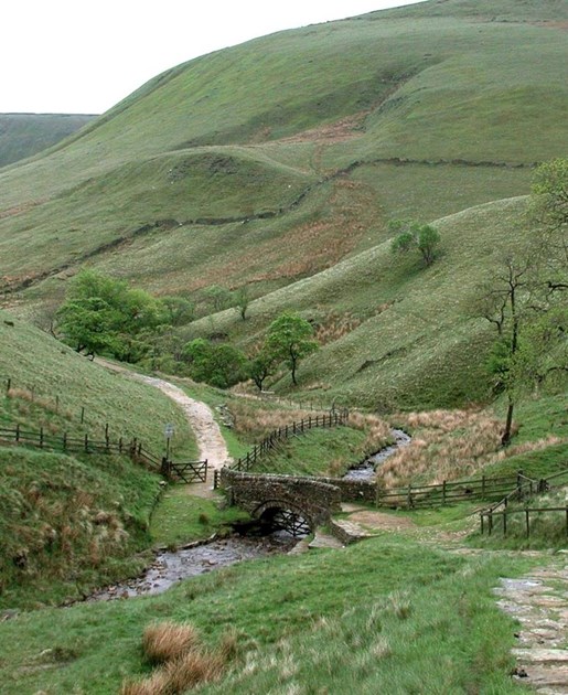 Peter Halliwell is fundraising for British Heart Foundation