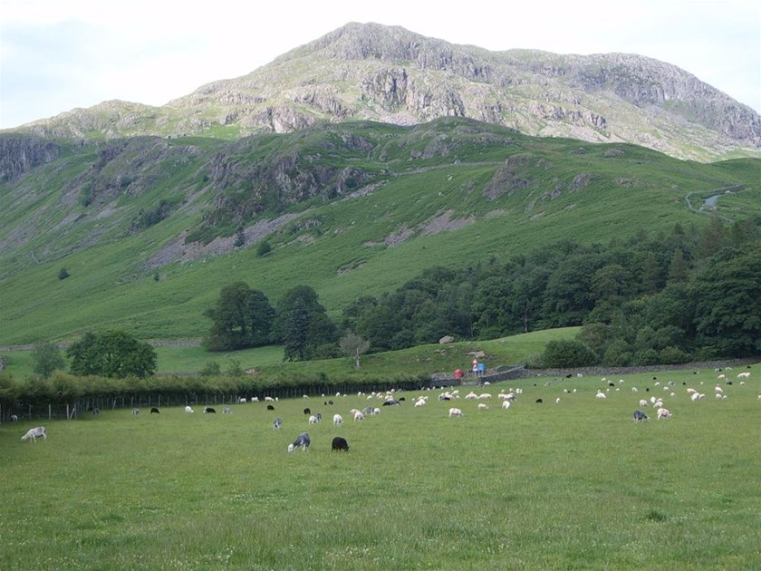 Kelly Nimmo is fundraising for Macmillan Cancer Support