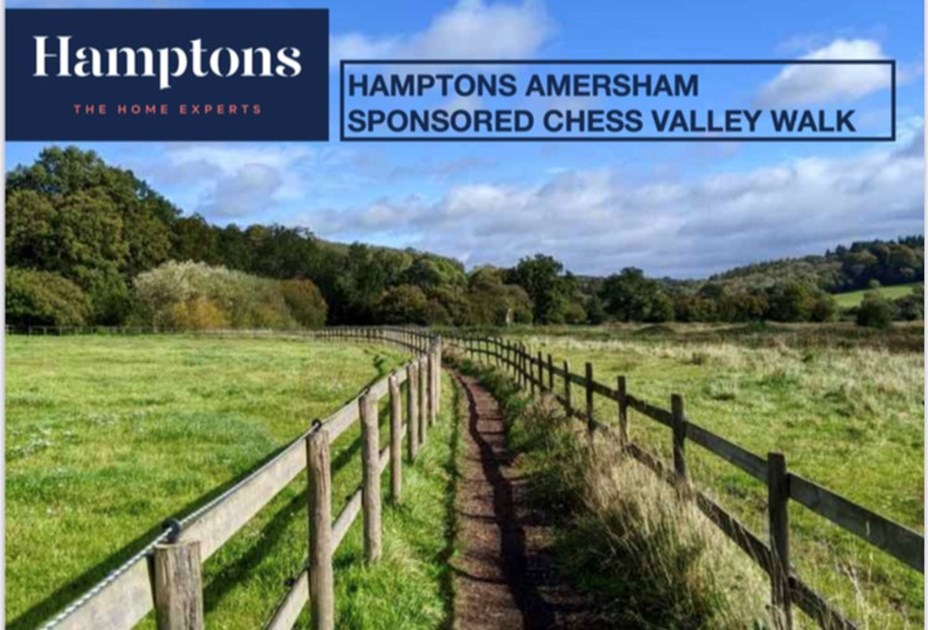 Hamptons The Home Experts is fundraising for Mind