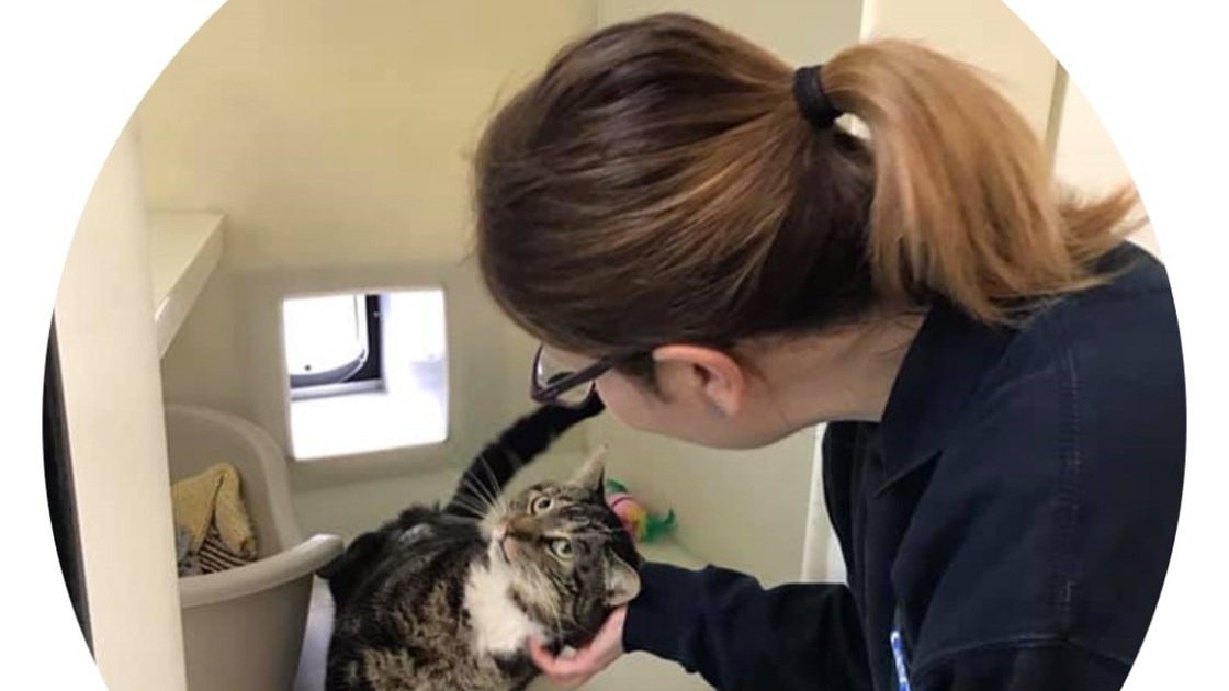 Emily Lomas is fundraising for RSPCA Hull And East Riding