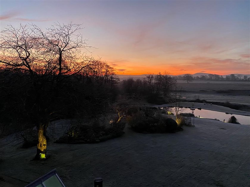 Helen Mathieson is fundraising for Breakthrough T1D