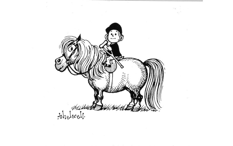 CAMILLA STOWELL is fundraising for New Yatt Riding For The Disabled