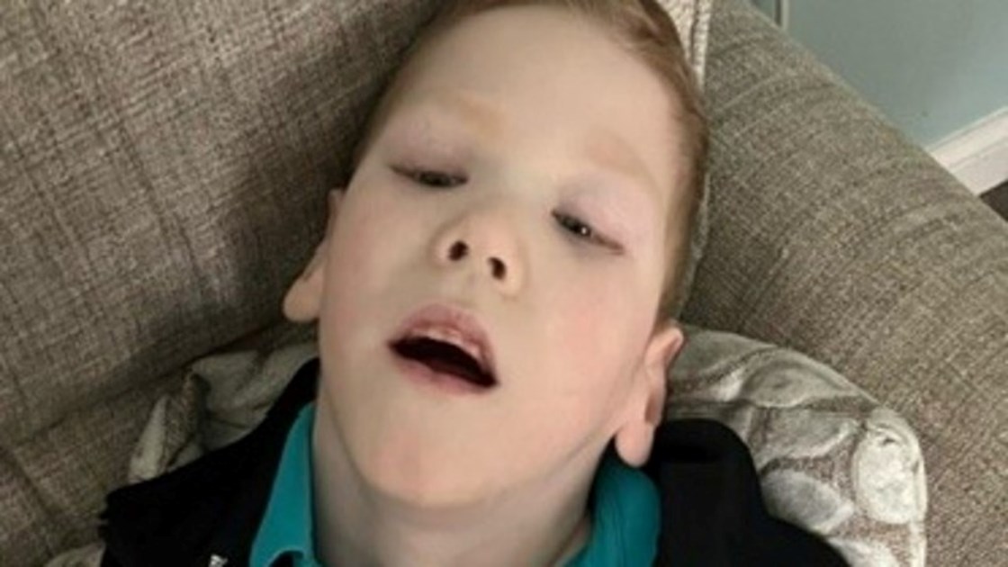 D CROSS is fundraising for Tree of Hope