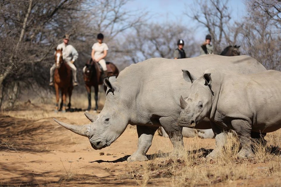 TINA FOX-EDWARDS is fundraising for The Waterberg Trust