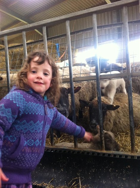 charlene jeffries is fundraising for Devon Air Ambulance Trust