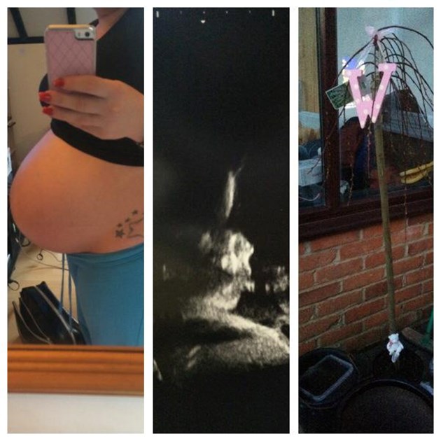 tracyellen timms is fundraising for Sands