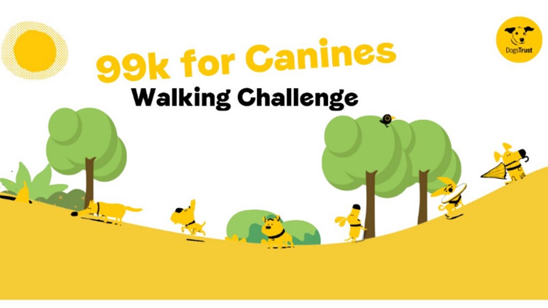 Jodi CG is fundraising for Dogs Trust Ireland