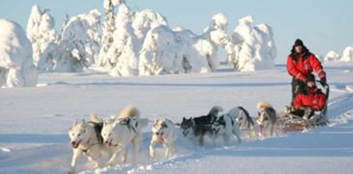 Stevie Webb is fundraising for Against Breast Cancer