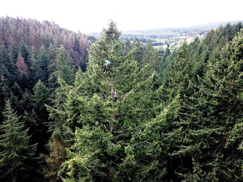 Phil Dye is fundraising for Cancer Research UK