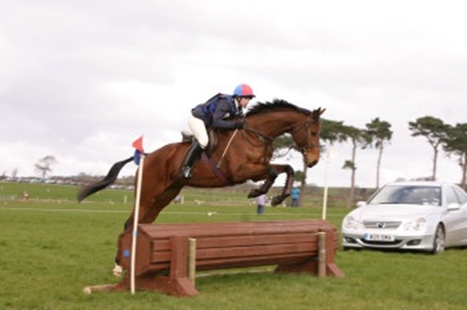 Helen Hamer is fundraising for Hannah's Willberry Wonder Pony Charity