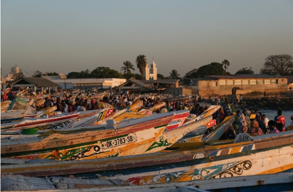 Donald Self is fundraising for Project Trust