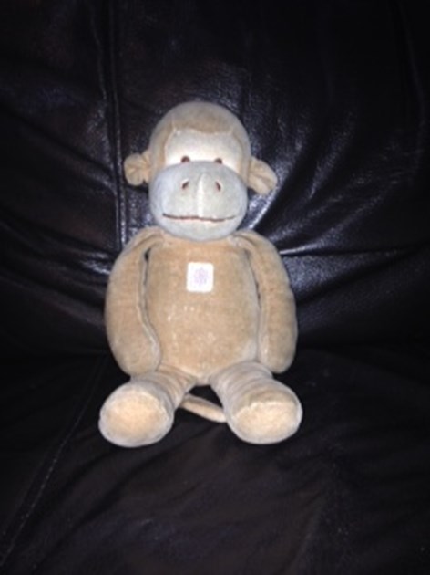 Annabel Green is fundraising for Thomley Hall Centre