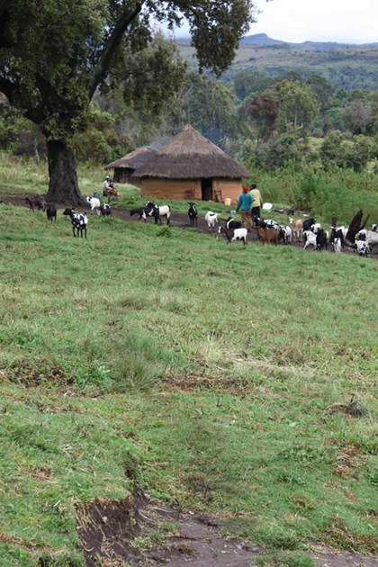 Justin Kenrick is fundraising for Forest Peoples Programme