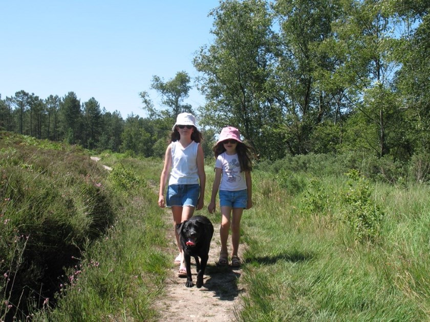 Vicky Pennington-Pyne is fundraising for Alice's Escapes