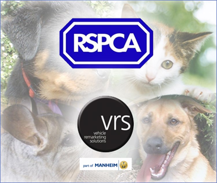 Vehicle Remarketing Solutions RSPCA Coventry is fundraising for RSPCA ...