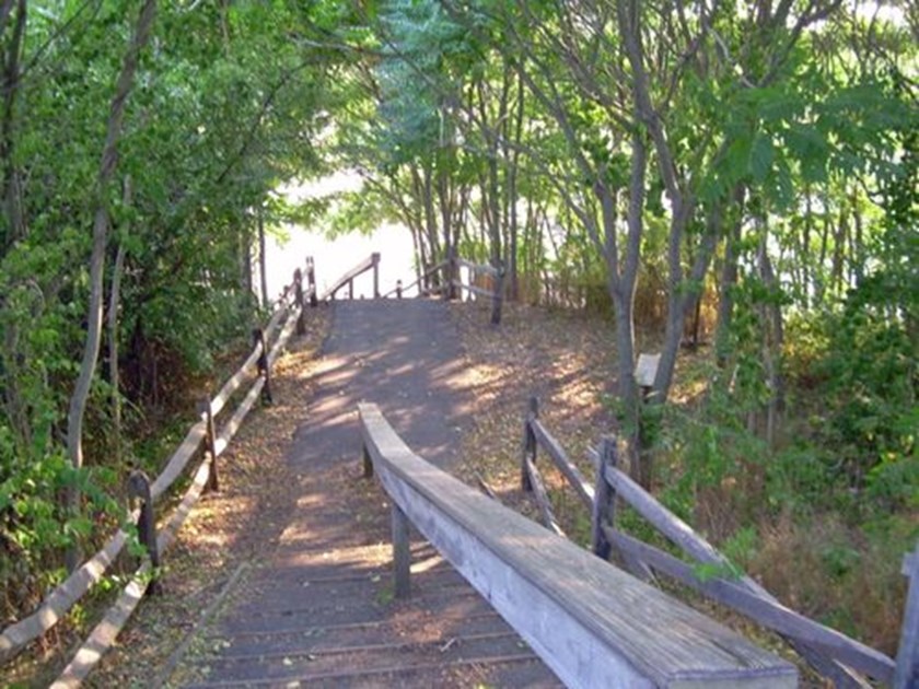 Patti Gleason is fundraising for Developmental Disabilities Institute