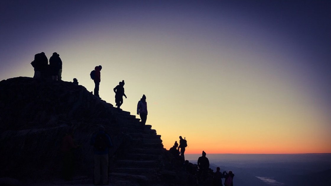 Dora Olah is fundraising for Shooting Star Children's Hospices