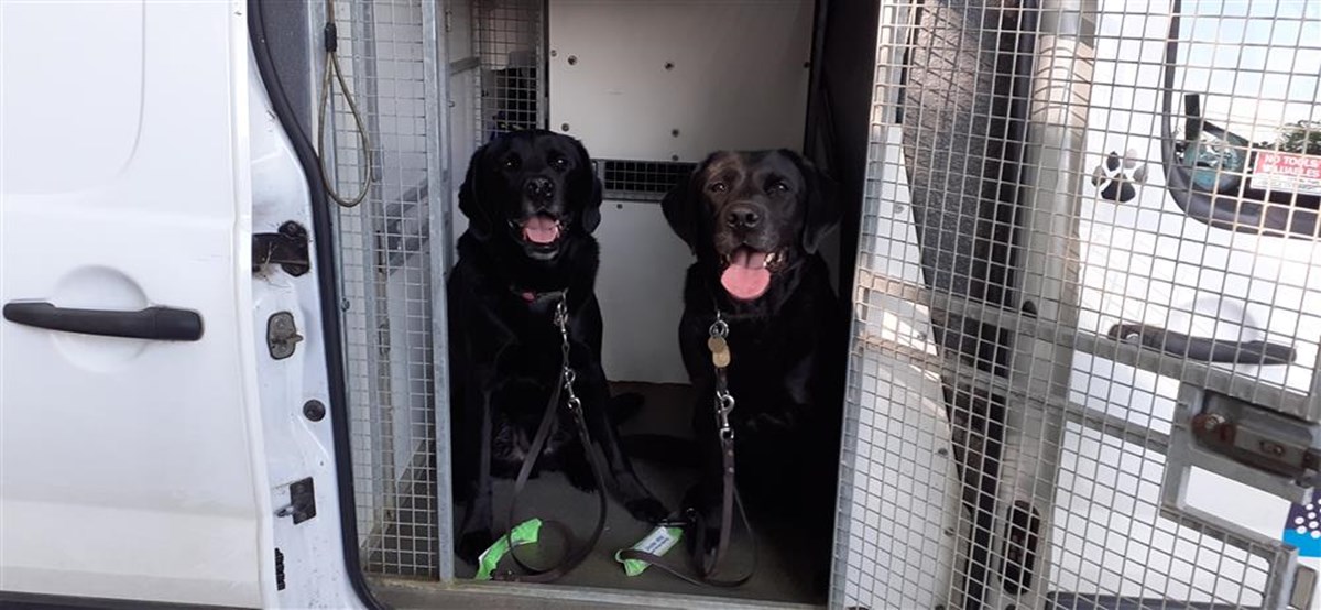 Sarah Whitbourn is fundraising for Guide Dogs