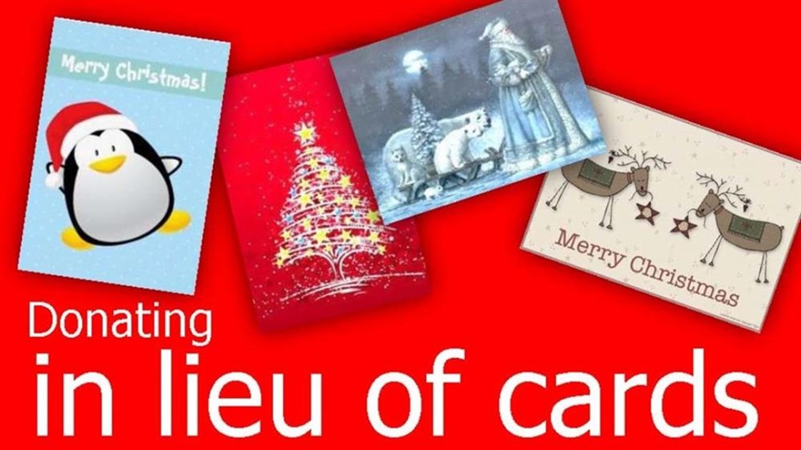 caitlin piper is fundraising for St. Michael's Hospice (North Hampshire)