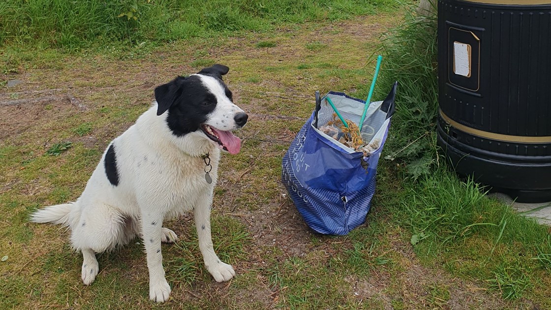 Sarah Mansell is fundraising for Paws on Plastic