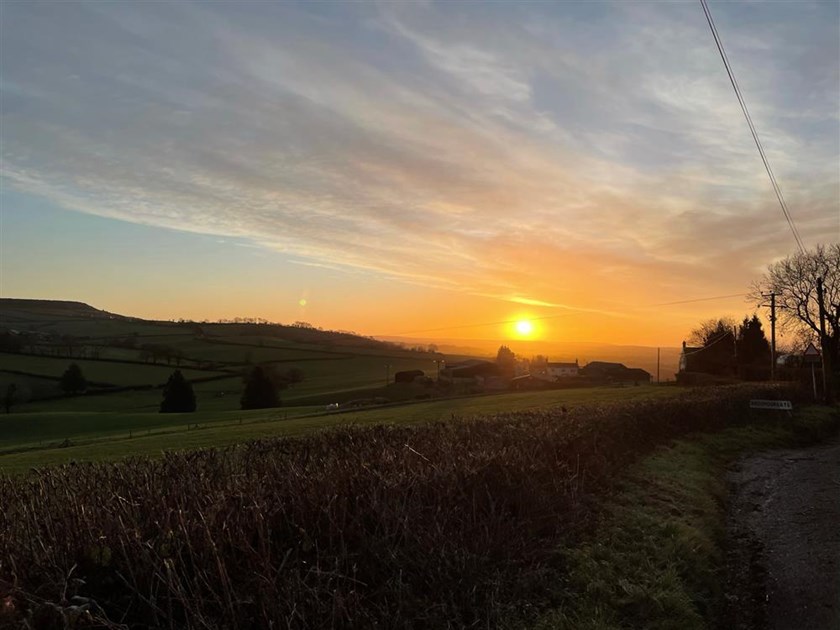 Coombefield Vet Hospital is fundraising for ARC (Axminster)