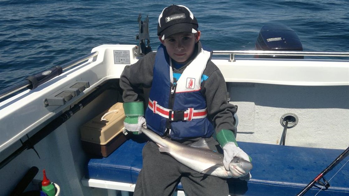 David Donald is fundraising for Friends of the Beatson