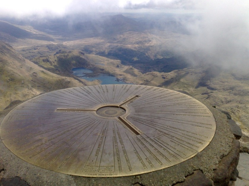 Sharon Whitley is fundraising for Brainwave