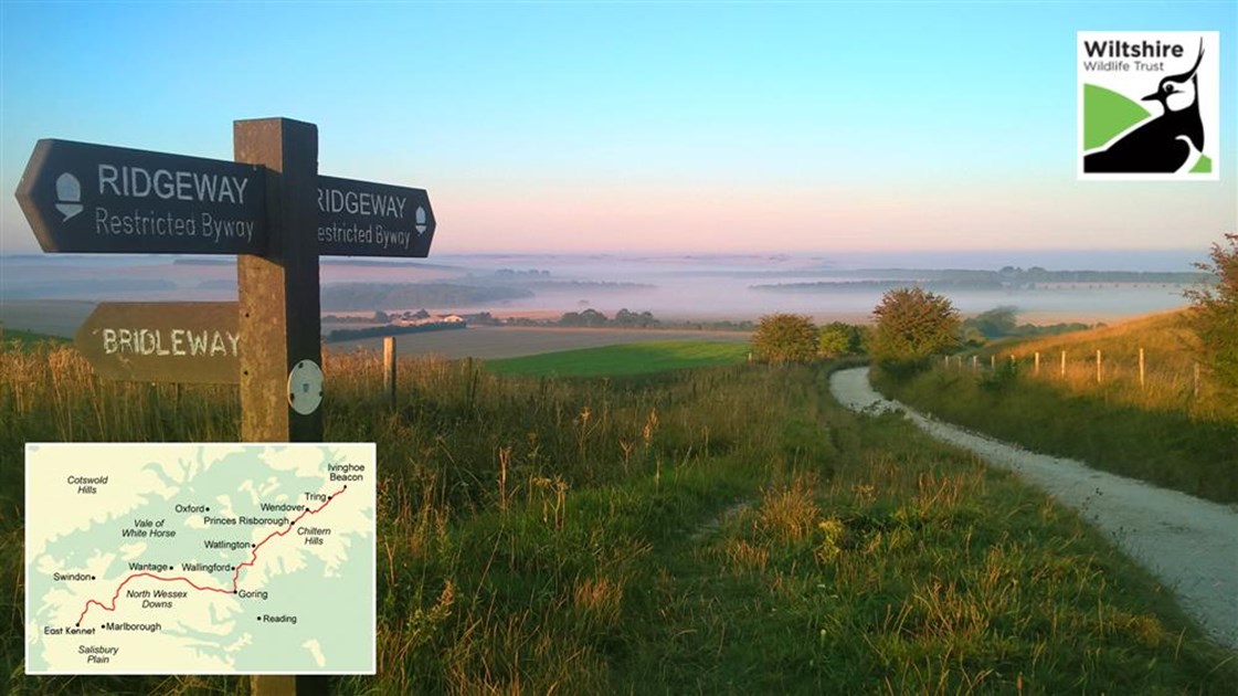 James Gladding is fundraising for Wiltshire Wildlife Trust Ltd