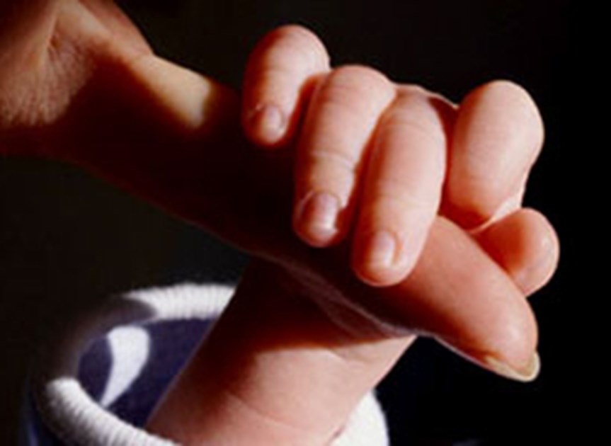 Aileen O'Hanlon is fundraising for TinyLife formerly NIMBA