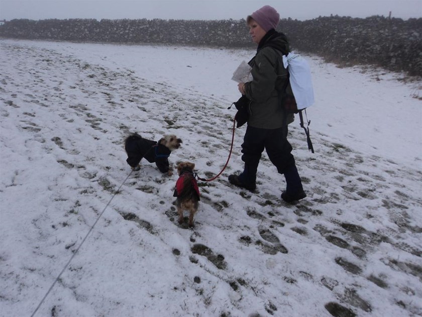 Grace Tipson is fundraising for Chilterns Neuro Centre