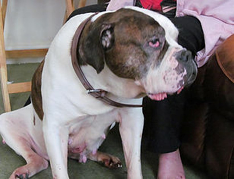 Jane Wrench is fundraising for Pebbles Legacy