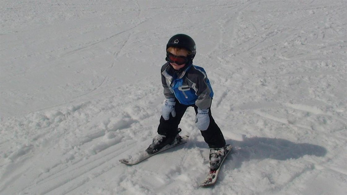 deborah hebel is fundraising for The Donkey Sanctuary