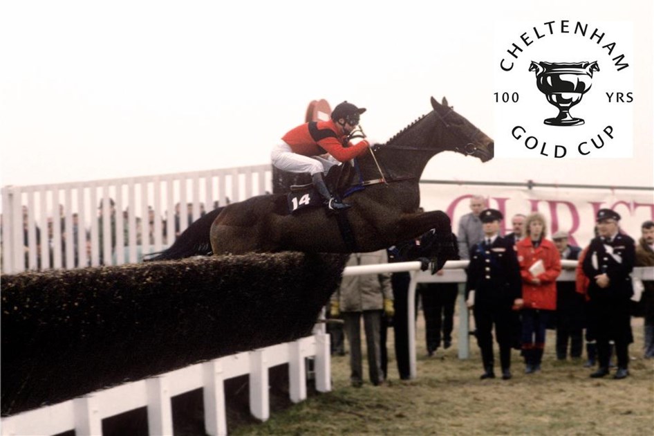 Ryan Judson is fundraising for Racing Welfare
