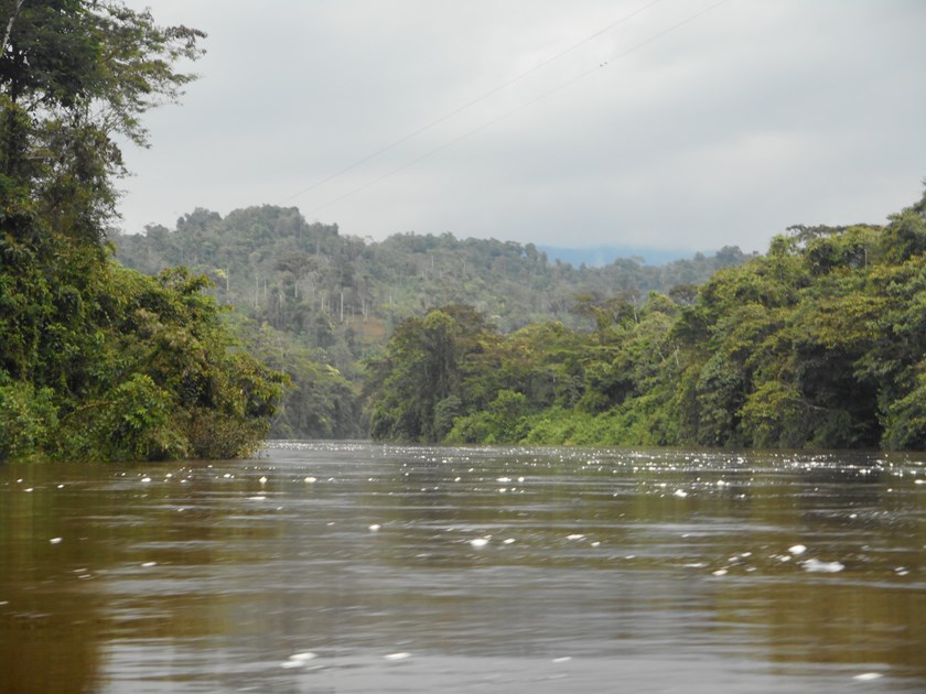 Emma Tozer is fundraising for World Land Trust