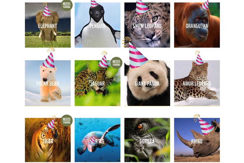 Holly Howe is fundraising for WWF-UK