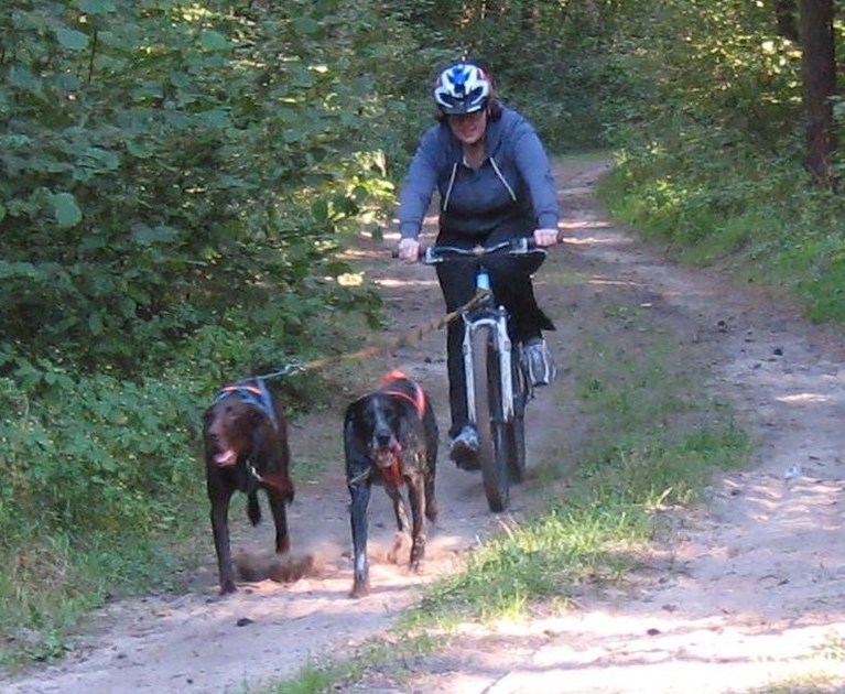 Caroline Rust is fundraising for Sobell House Hospice Charity