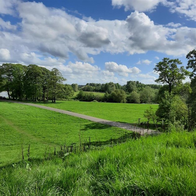 Jane Senior is fundraising for Myeloma UK