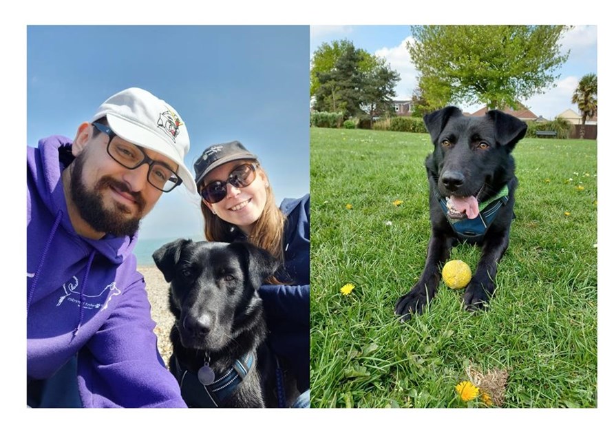 Charlotte Coward is fundraising for Battersea