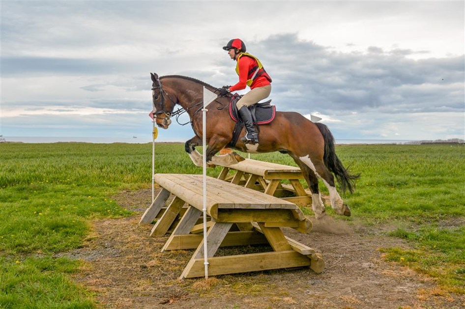 Angie Harris is fundraising for Hannah's Willberry Wonder Pony Charity