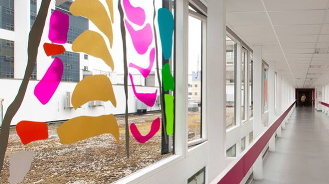 AUSA RAG is fundraising for Grampian Hospitals Art Trust