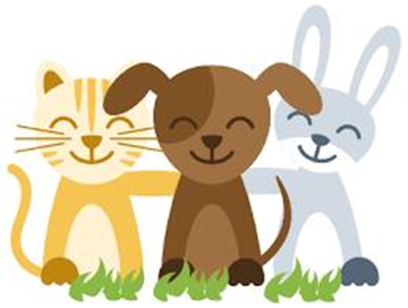 Sandra Crowther is fundraising for RSPCA Leeds Wakefield & District