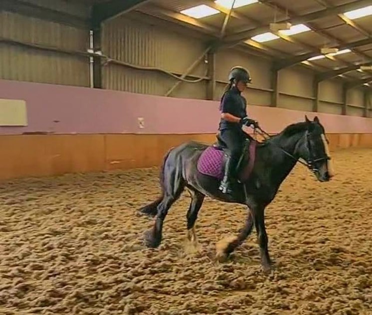 Donna Hanlon is fundraising for Child Bereavement UK