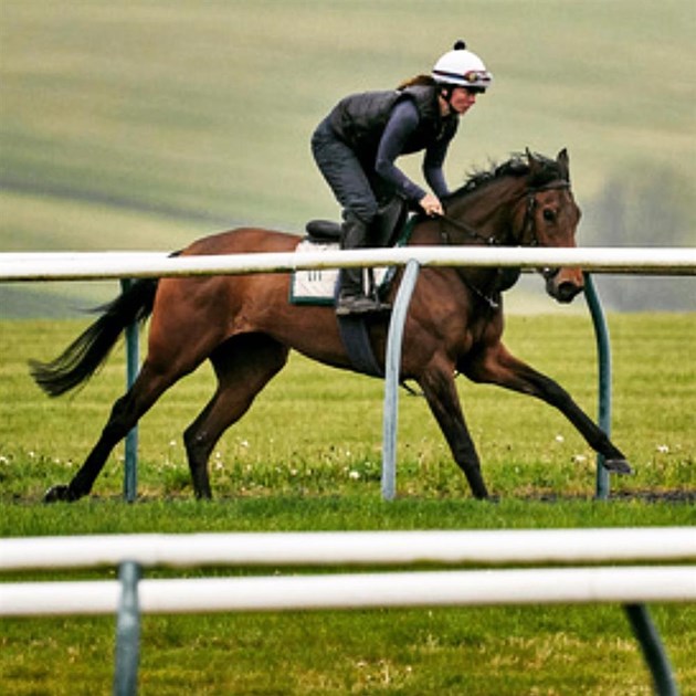 Maria Crowe is fundraising for The British Horse Society