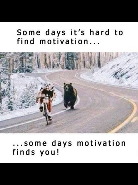 Jason Comley is fundraising for Yorkshire Cancer Research