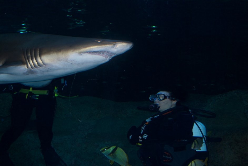 Hannah Streeter is fundraising for Children Today