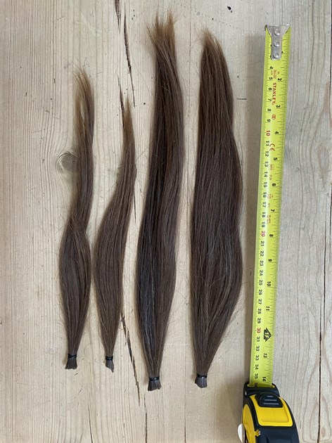 Alice Tomkins is fundraising for Little Princess Trust