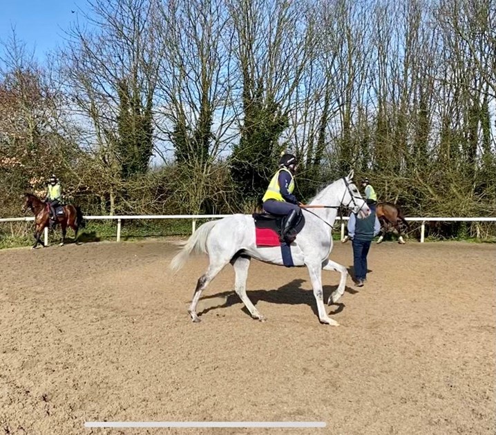 Hannah Roche Is Fundraising For Racing Welfare